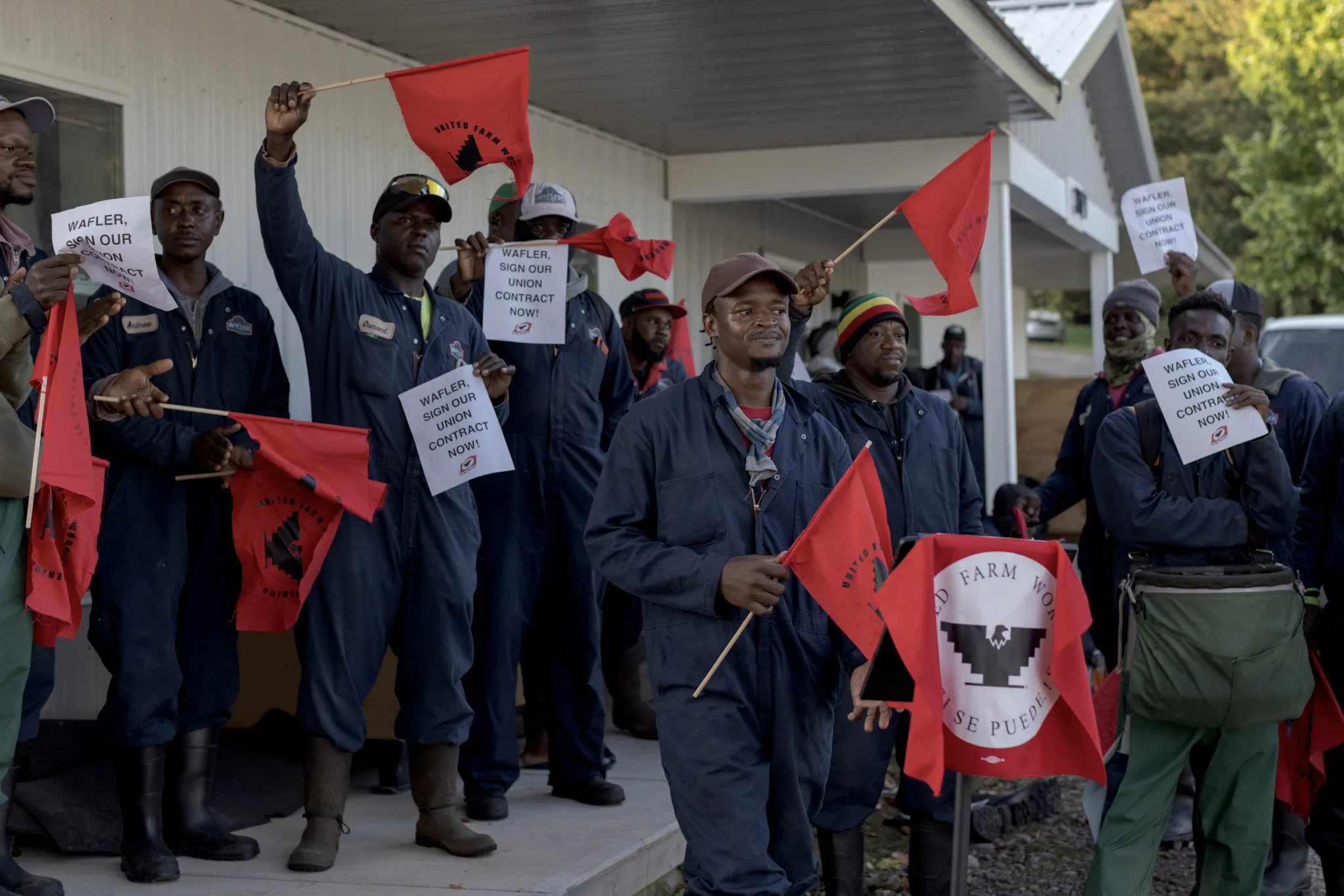 Migrant Workers Win Farm Union Contract, Protecting Them From Trump’s H ...