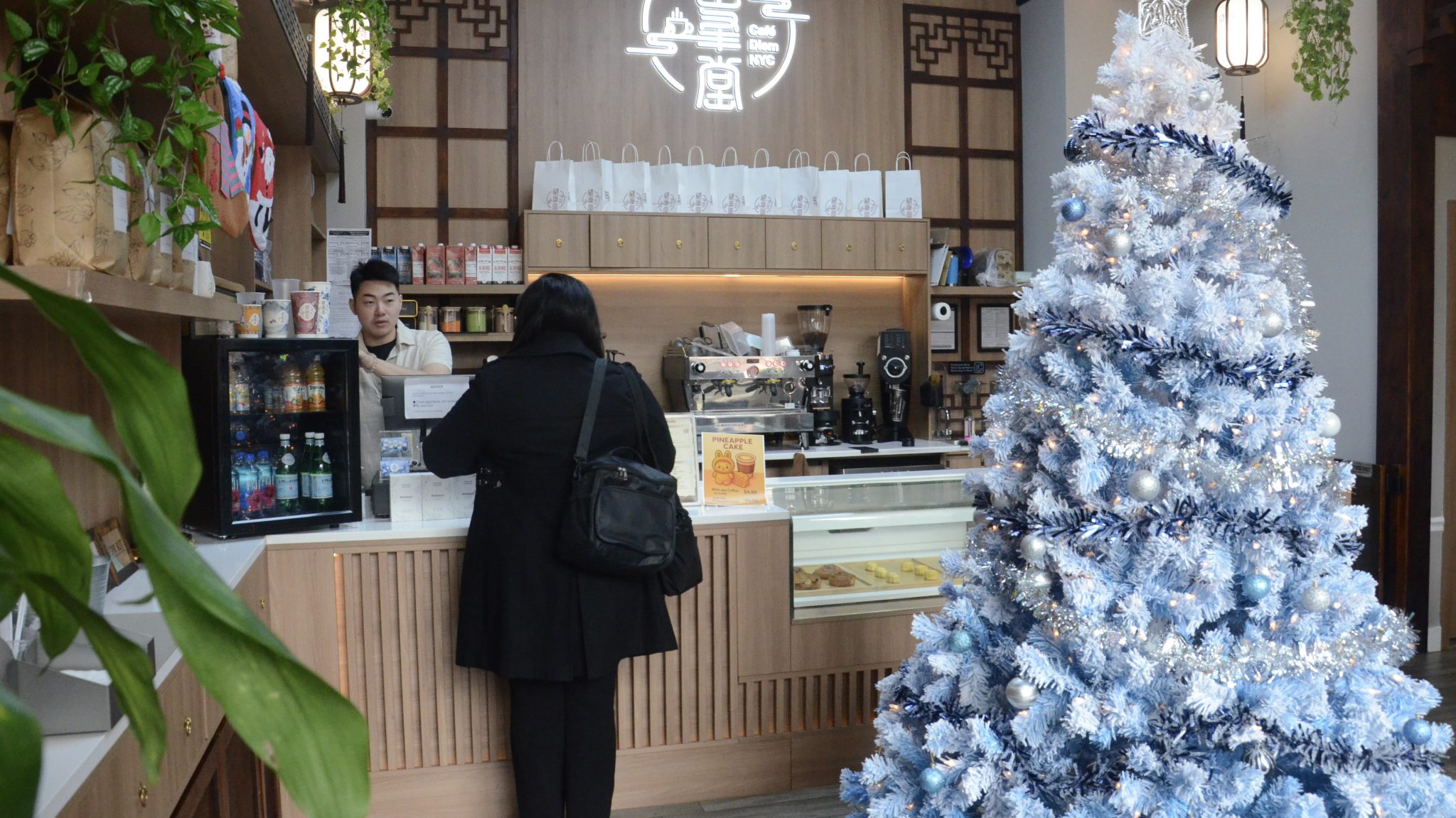 Second-Generation Immigrants Revive Chinatown After COVID - Documented